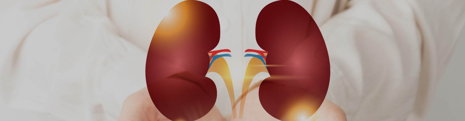Acute Kidney Injury: Symptoms, Causes, Risk, & Prevention