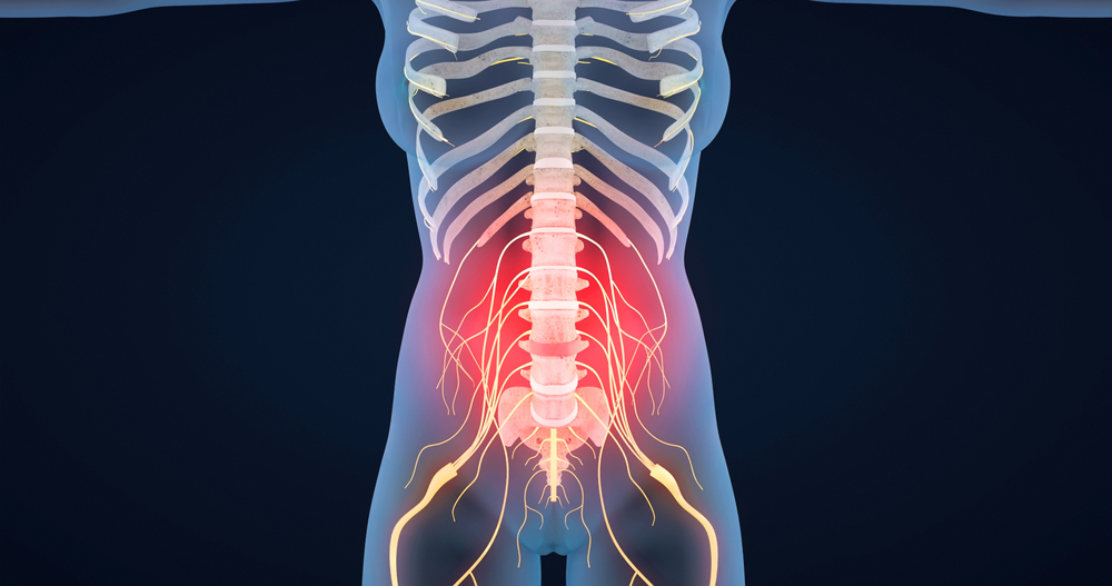 Total Guide of O-Arm (Spine Suite) Imaging System | #site_title