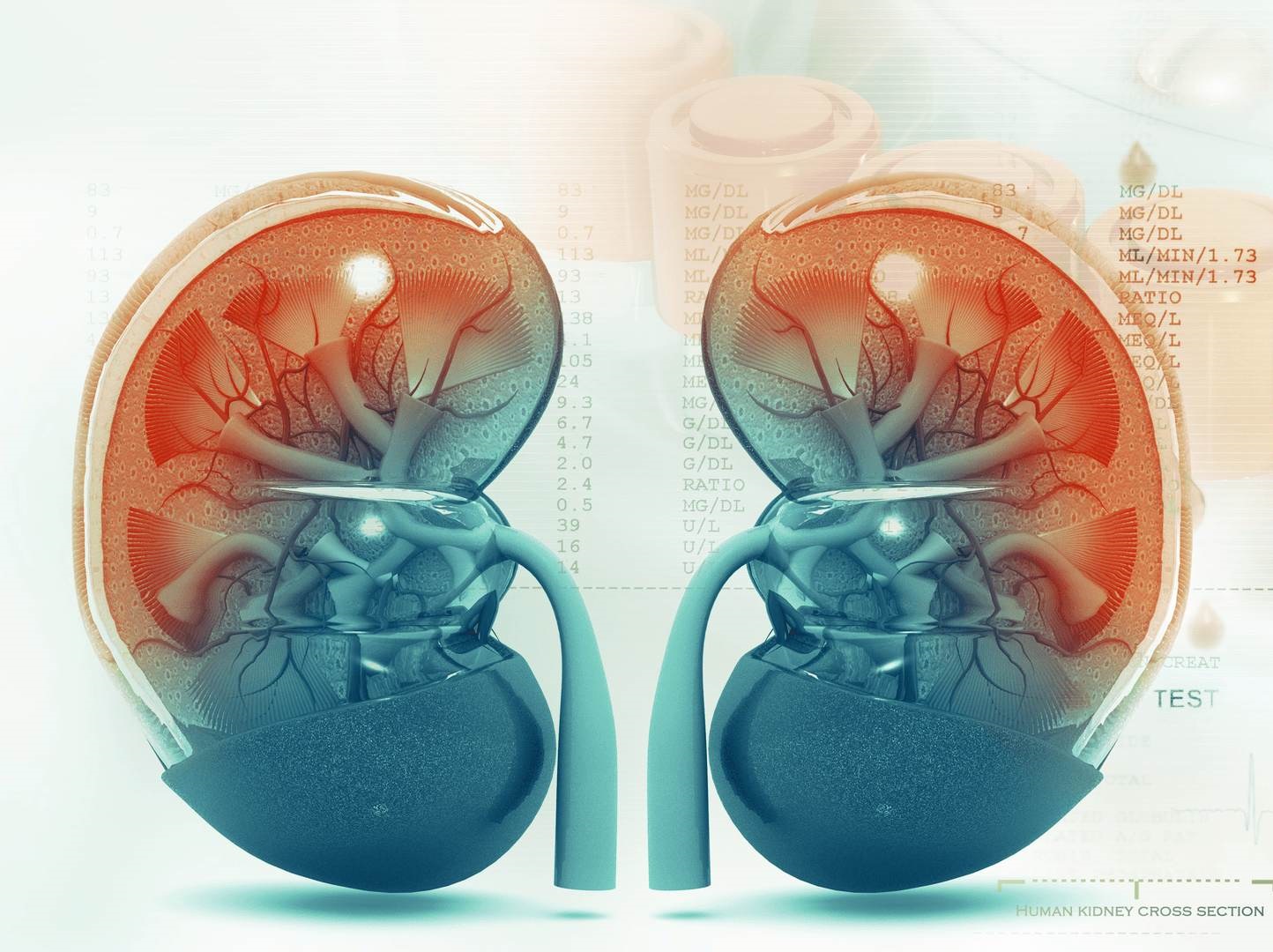 Urology Nephrology Hospital - Best Urology Nephrology Hospital in ...