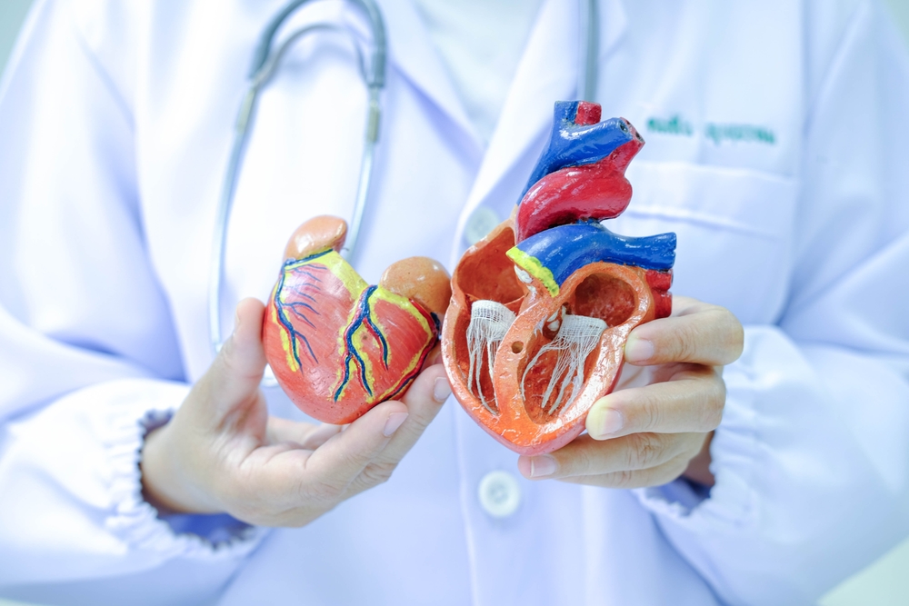 Optimizing Heart Health: Cardiac Care and Cardiac Surgery