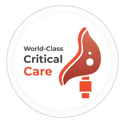 Expert Critical Care Services for Immediate Health Needs