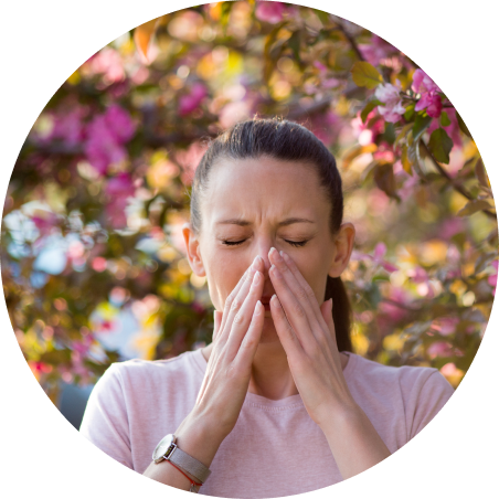 Allergic Rhinitis: Symptoms, Causes, Risk, & Prevention