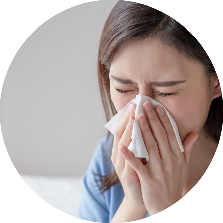 Allergic Rhinitis (Hay Fever): Treatment, Symptoms, Causes, Signs & Cure